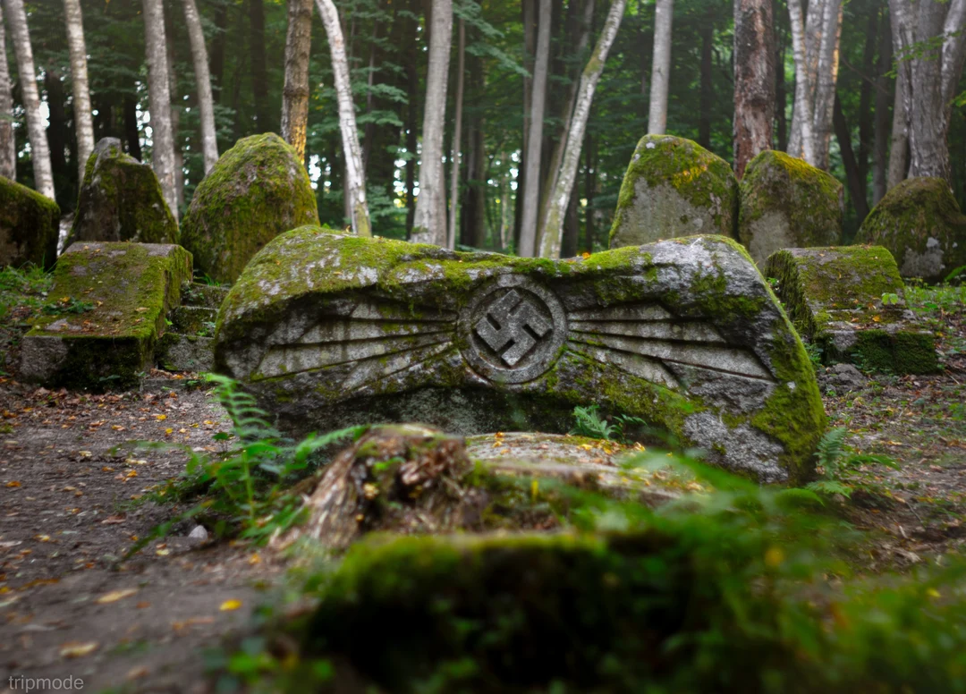 The forgotten Cemetery | Scrolller