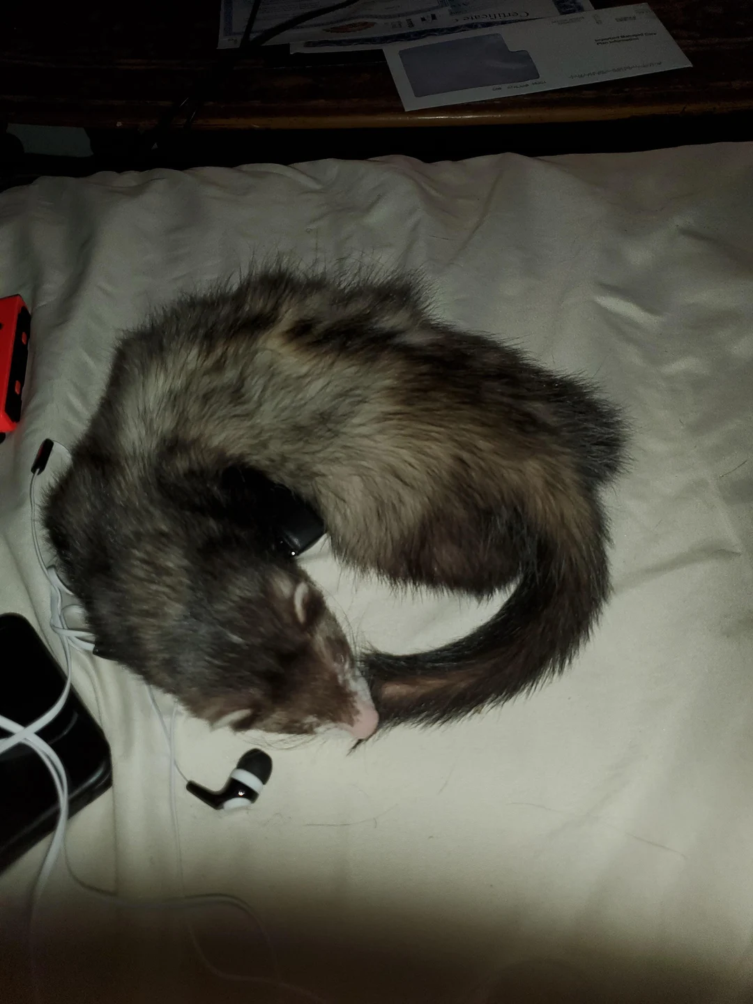 Pebbles 💔 | Scrolller