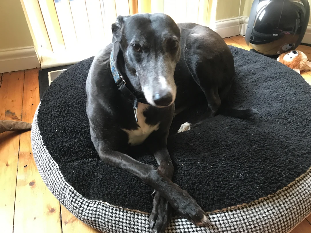 Legs crossed, nicely chilled… | Scrolller