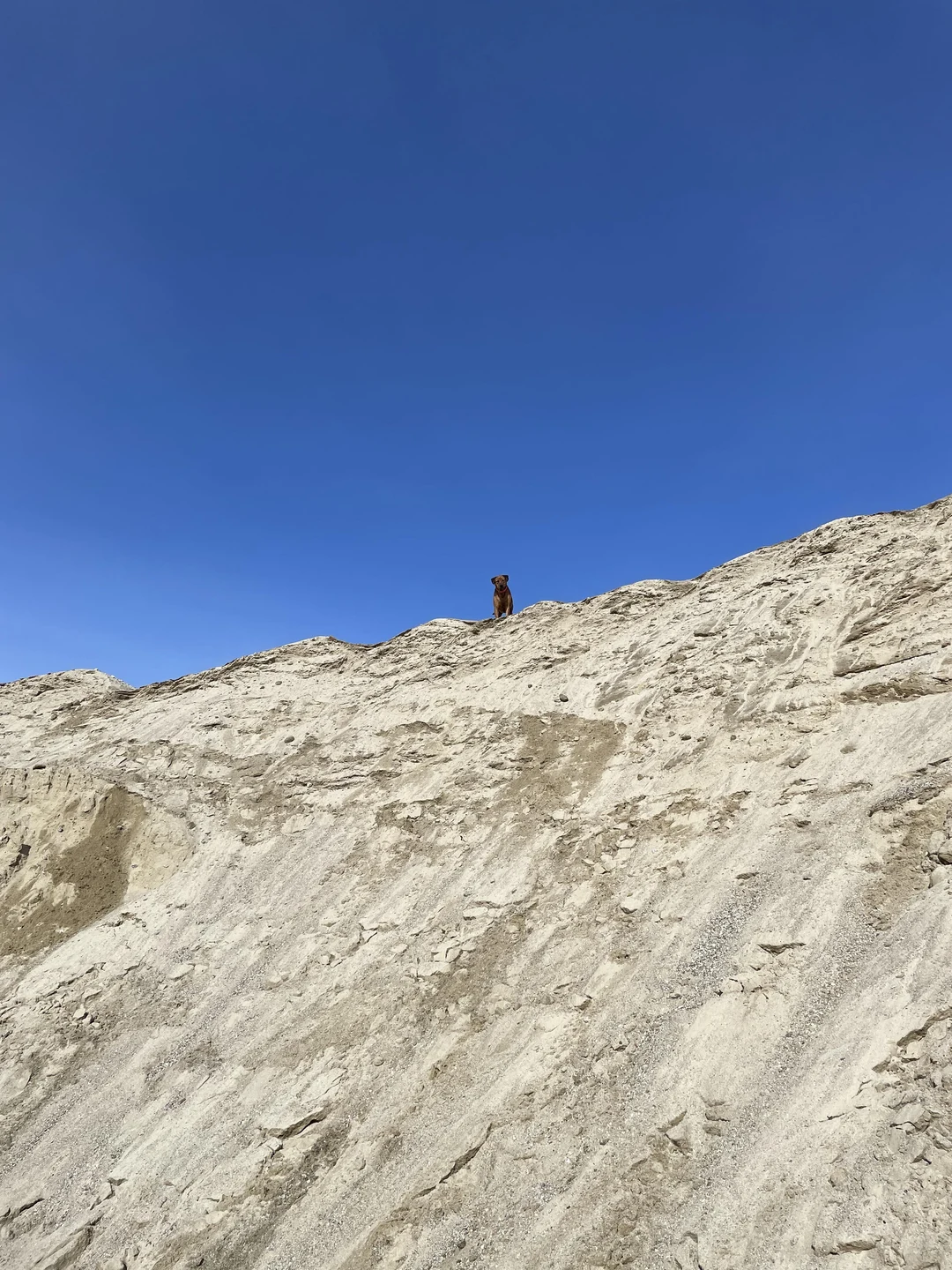 Queen of the sand pile | Scrolller