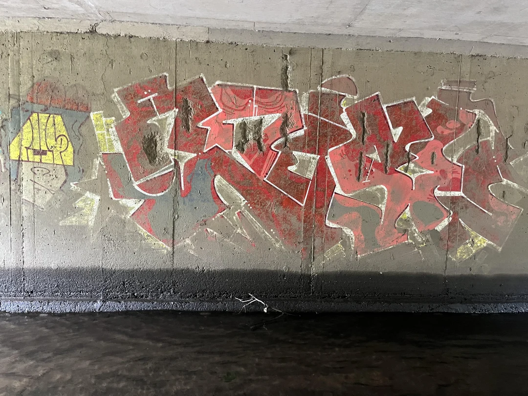 Fresh Ass pieces in the Bronx river | Scrolller