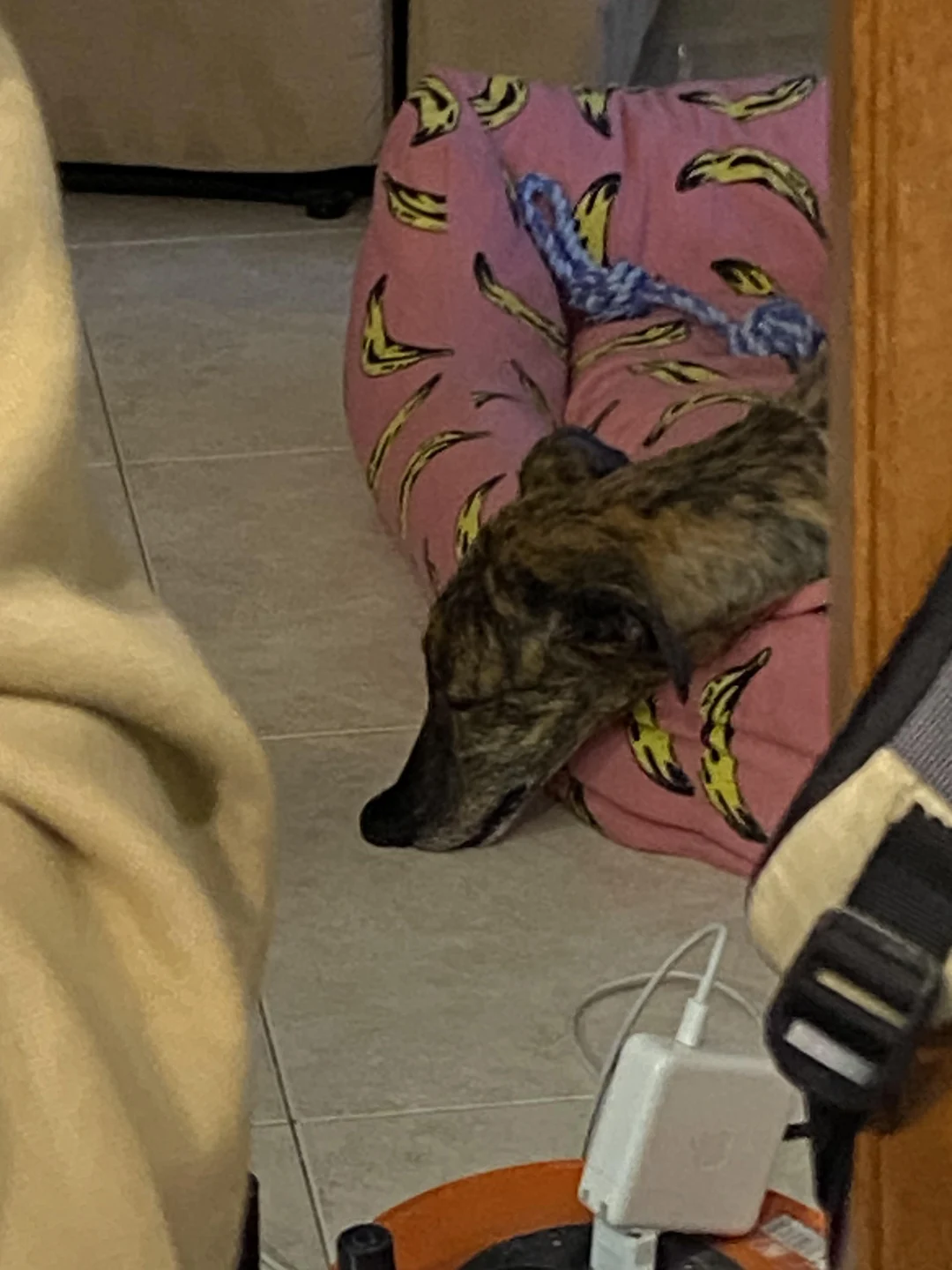 That looks comfortable | Scrolller