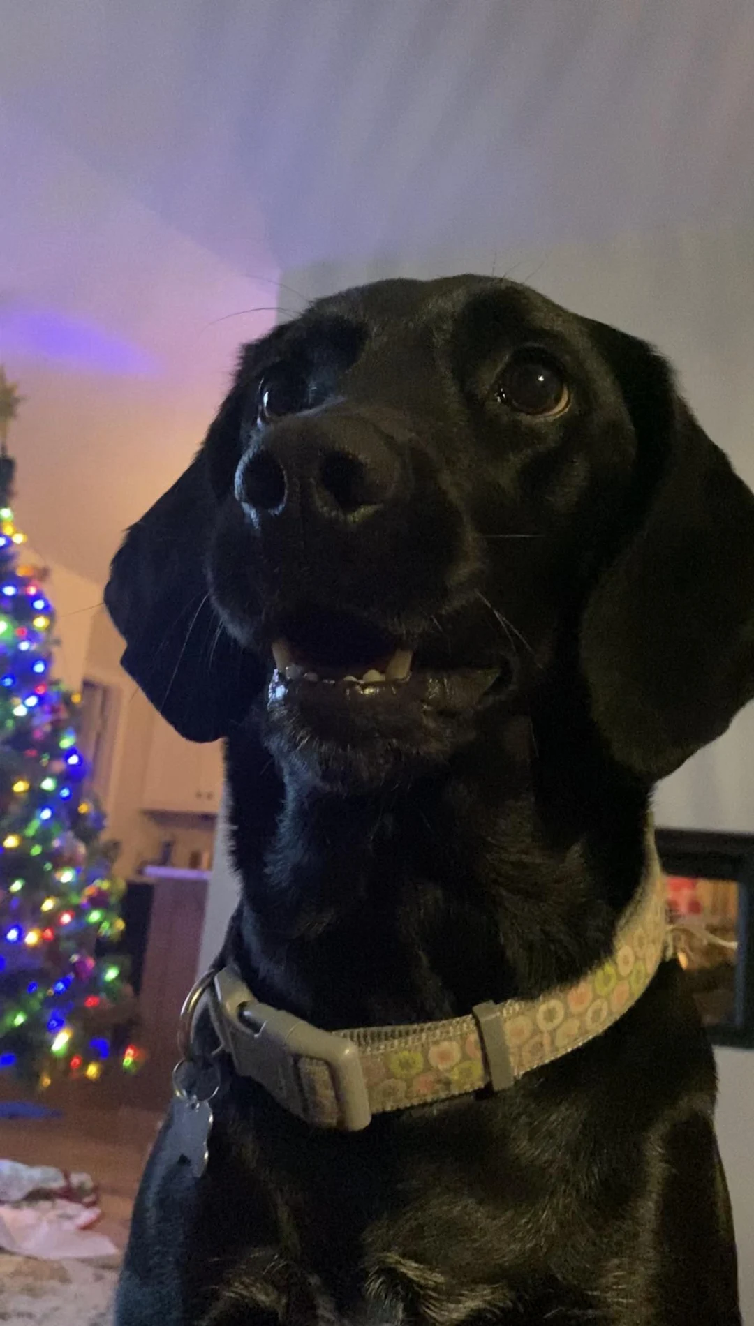 Miss Mary is 100% derp | Scrolller