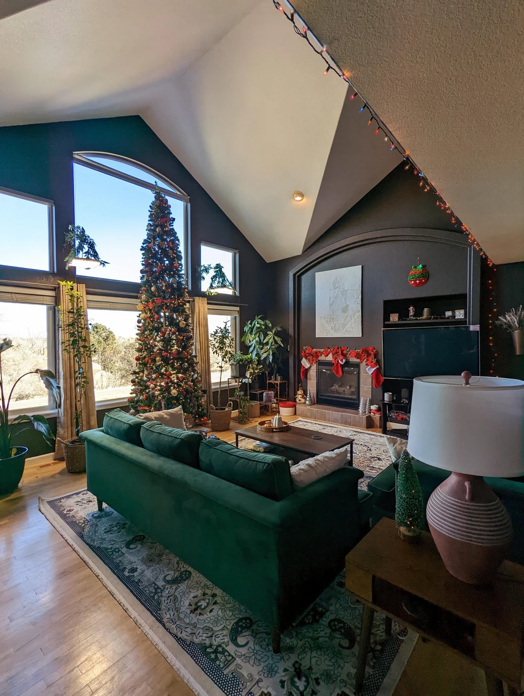 Cozy Christmas decor and my beloved indoor citrus trees | Scrolller