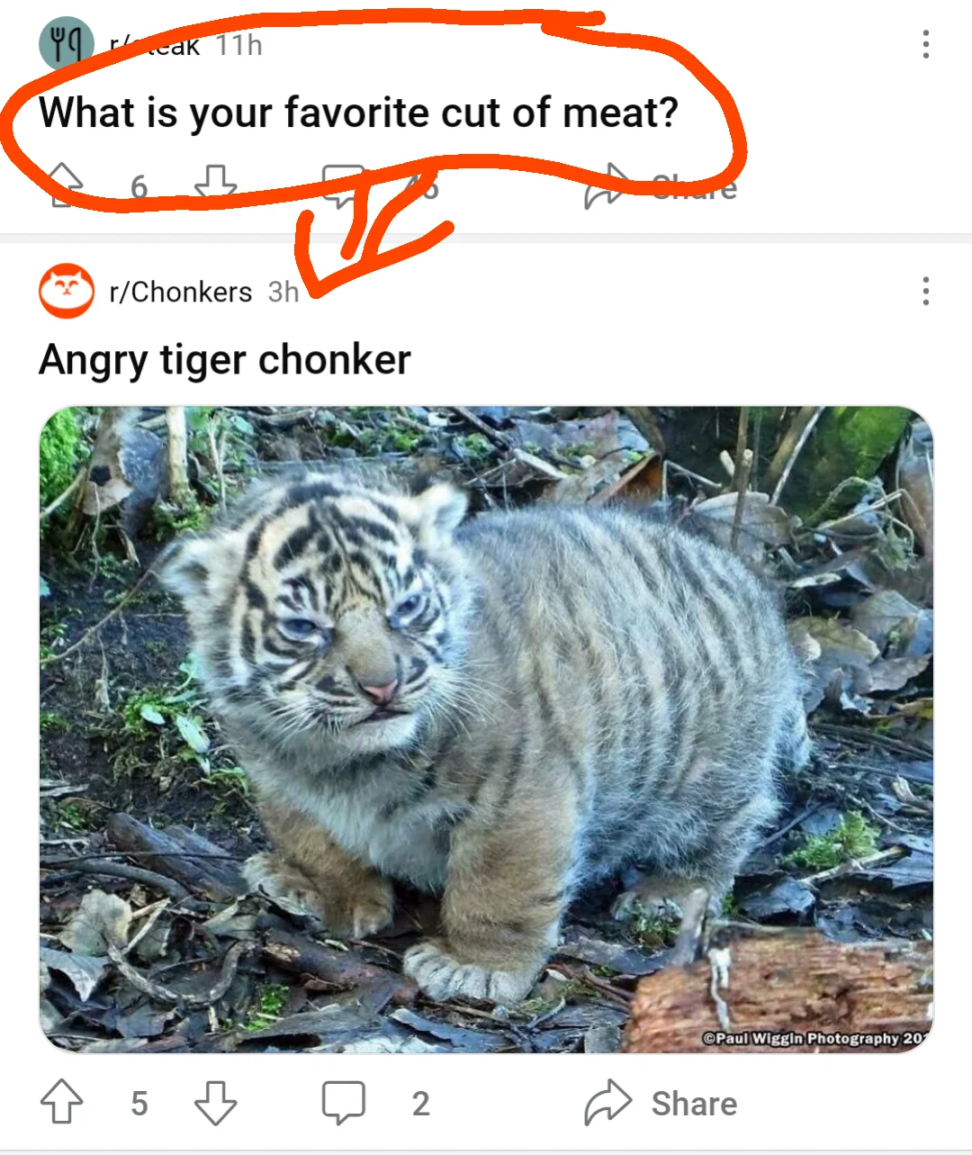Perfect posting alignment | Scrolller
