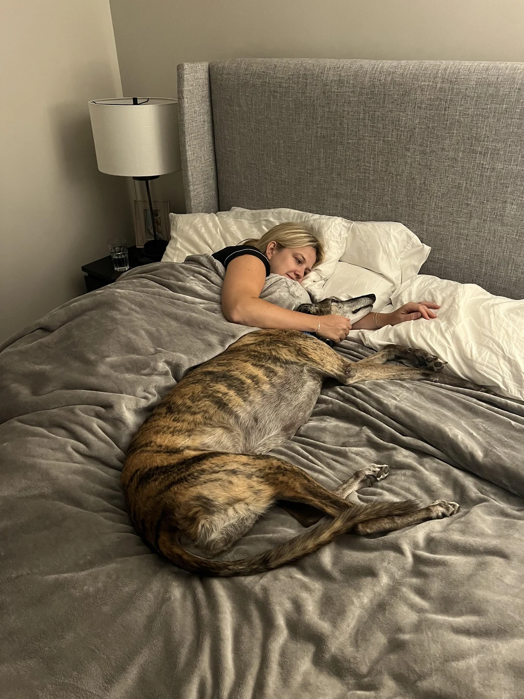 Nothing I love more than my Duke cuddling with me before bed | Scrolller