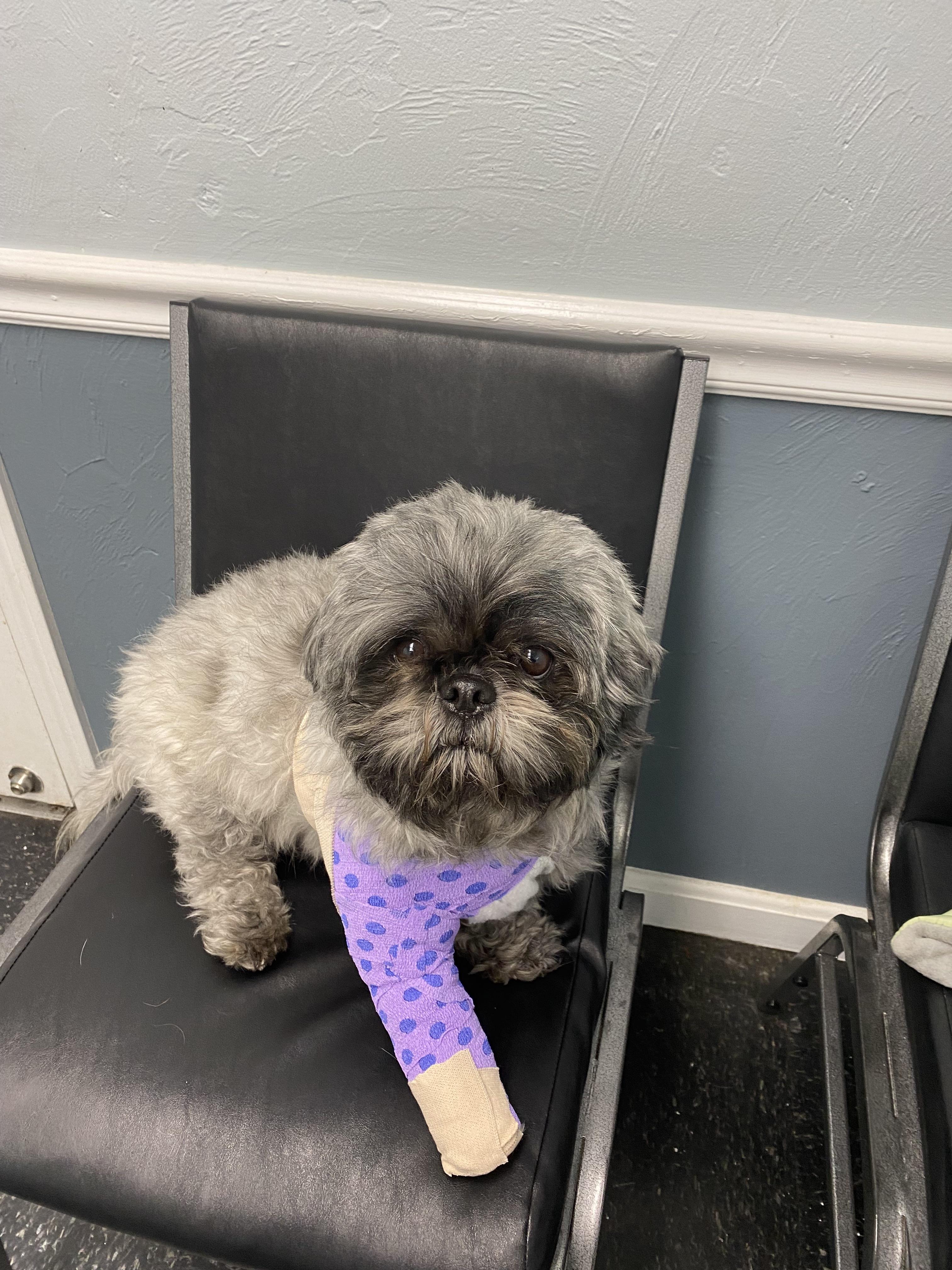 Ash and his cool cast | Scrolller