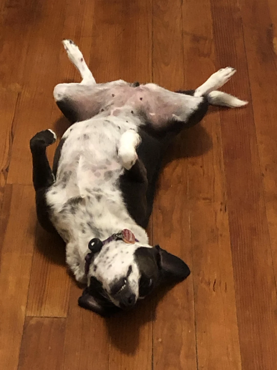 Oh no, she’s broken | Scrolller