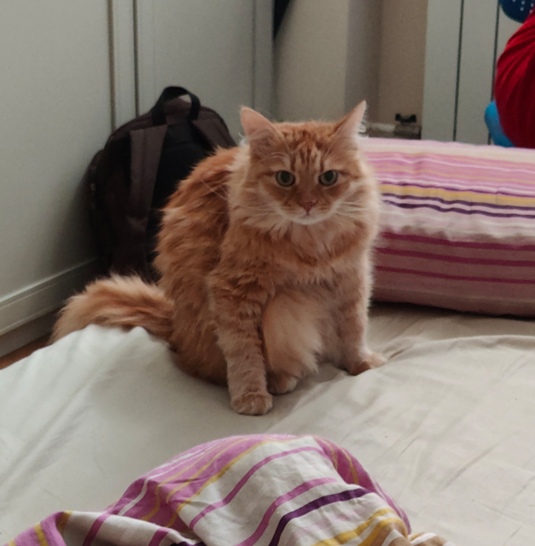 He looks quite disappointed | Scrolller