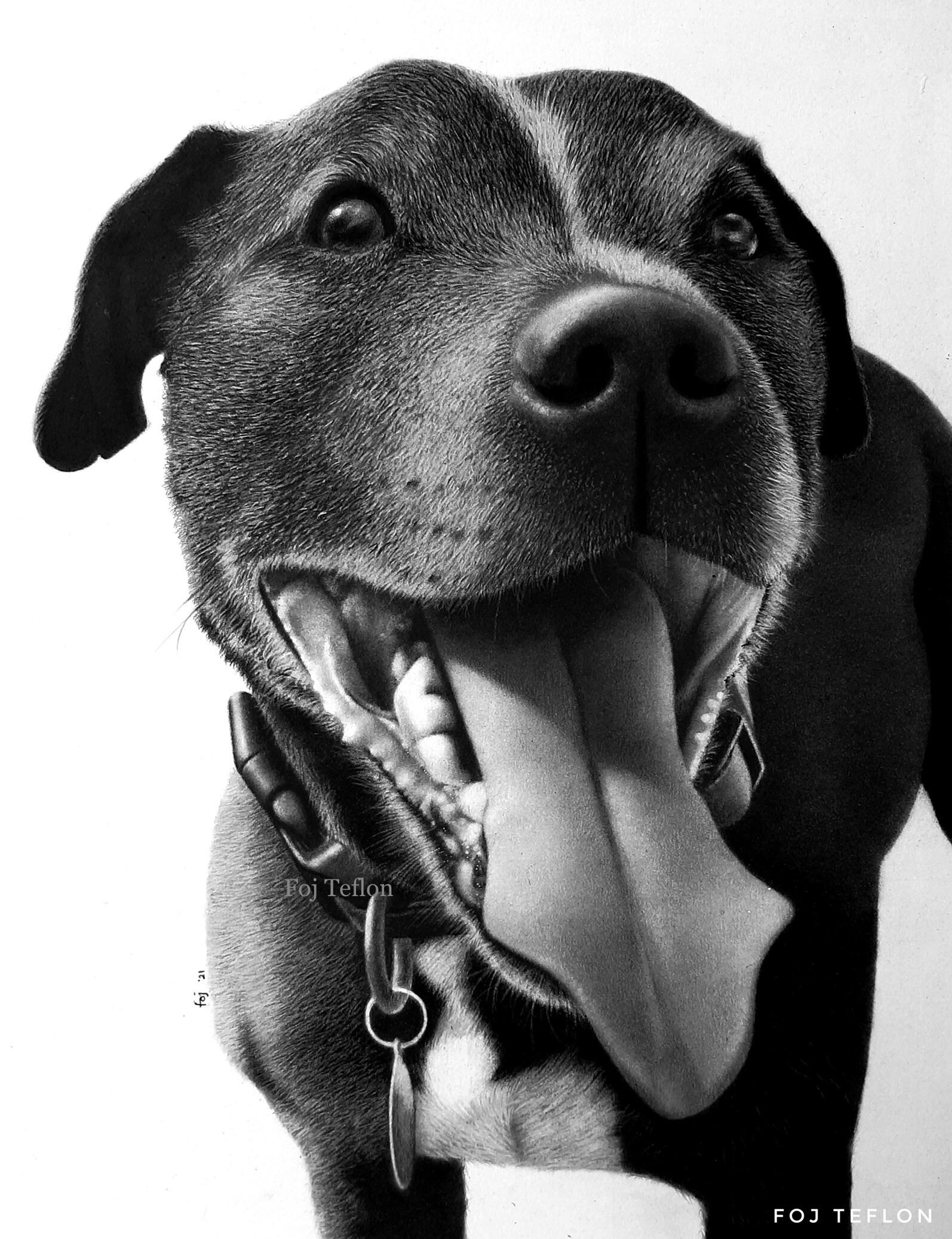 Here’s a pencil portrait of this fella I drew a while ago for a good friend of mine. | Scrolller