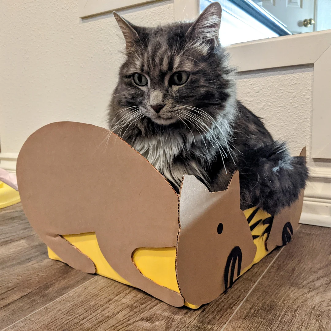 Trojan Mouse Box. | Scrolller