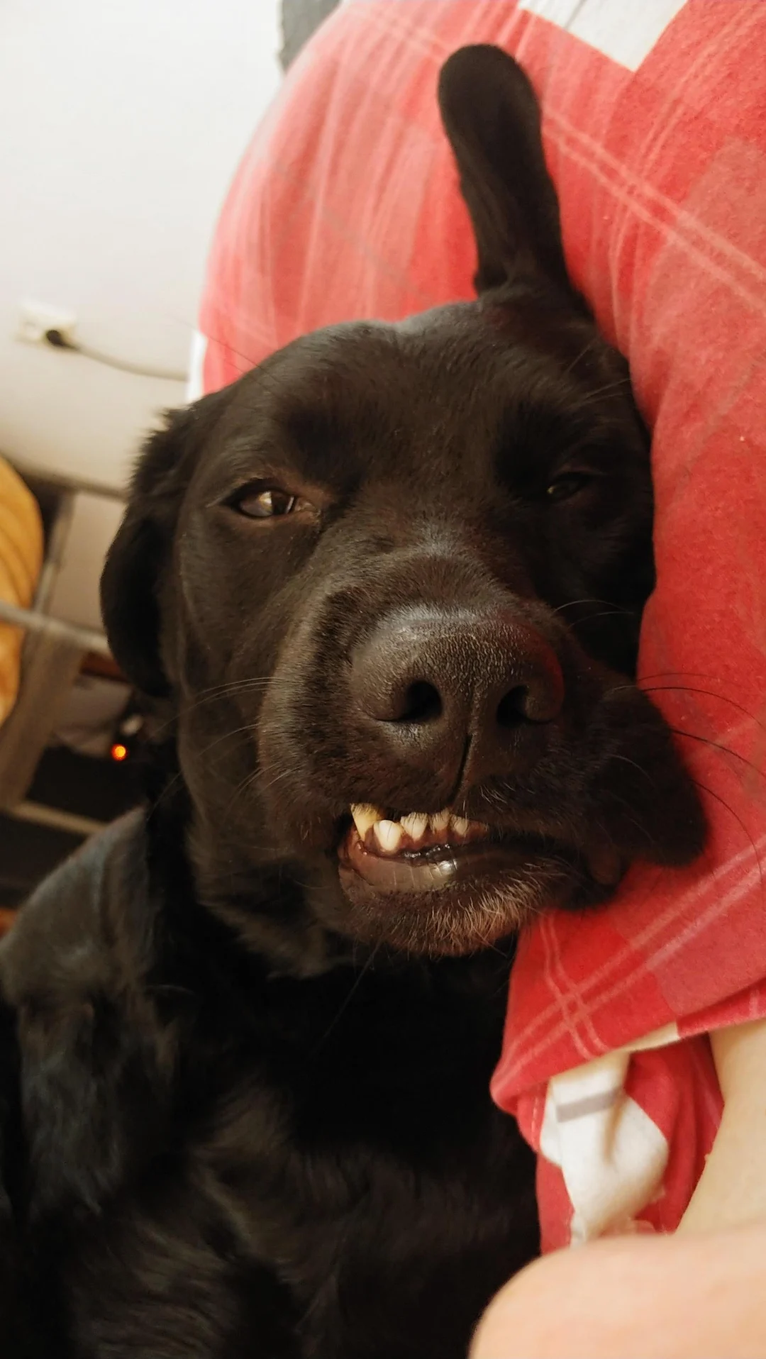 It must have been a good nap! | Scrolller