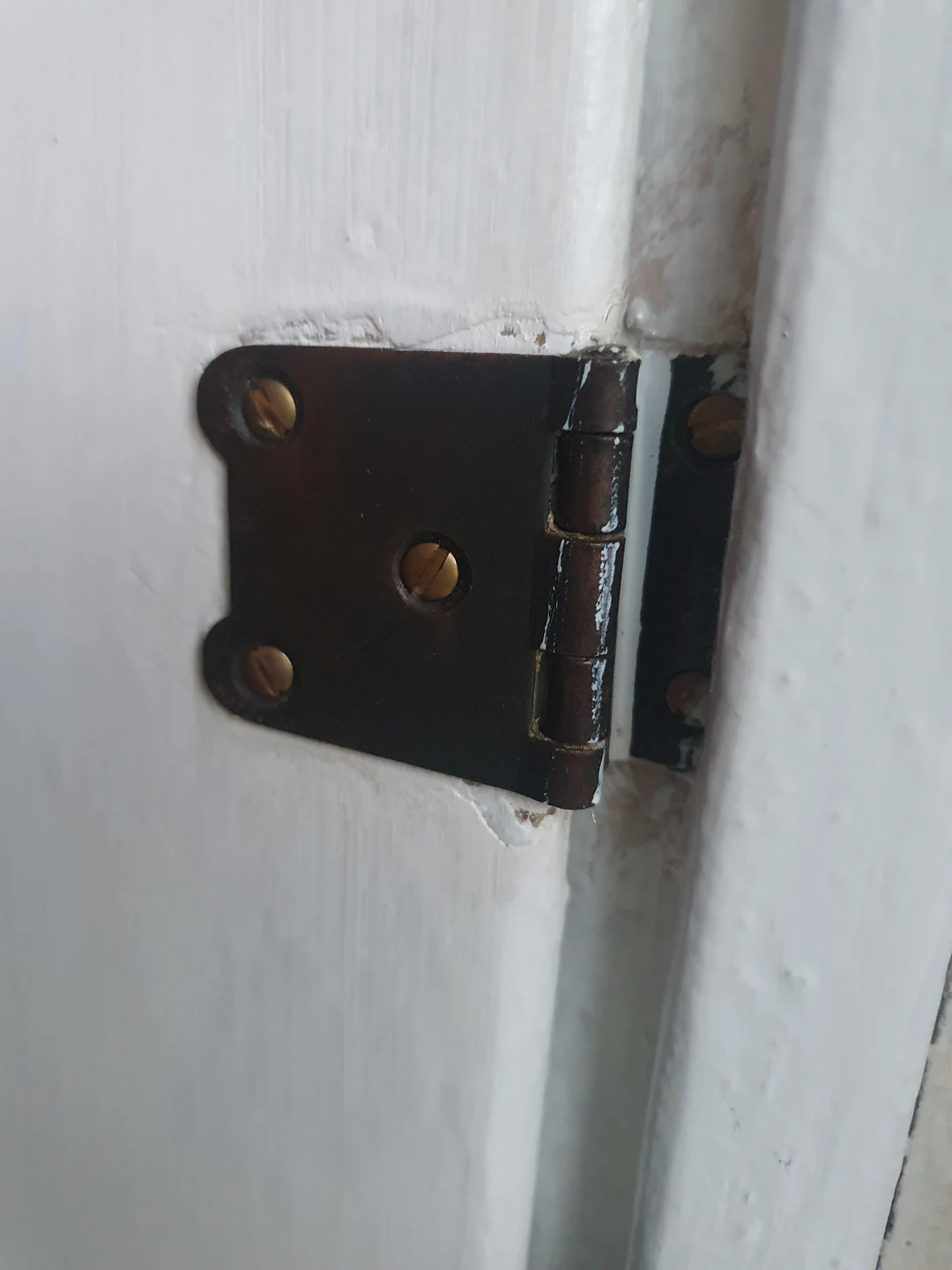 Cupboard door hinge identification | Scrolller