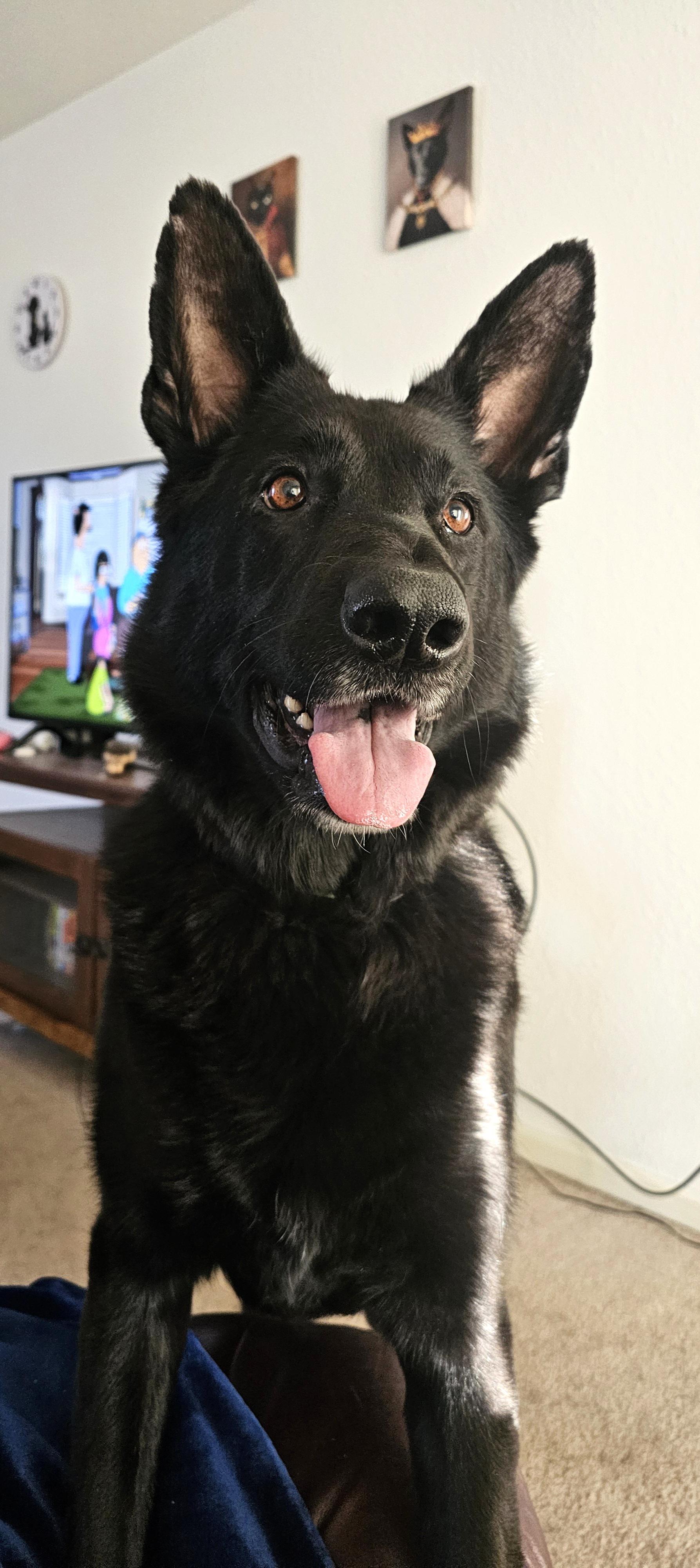 She's too cute for me not to share | Scrolller