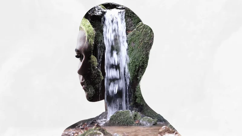 Overgrown Falls | Scrolller