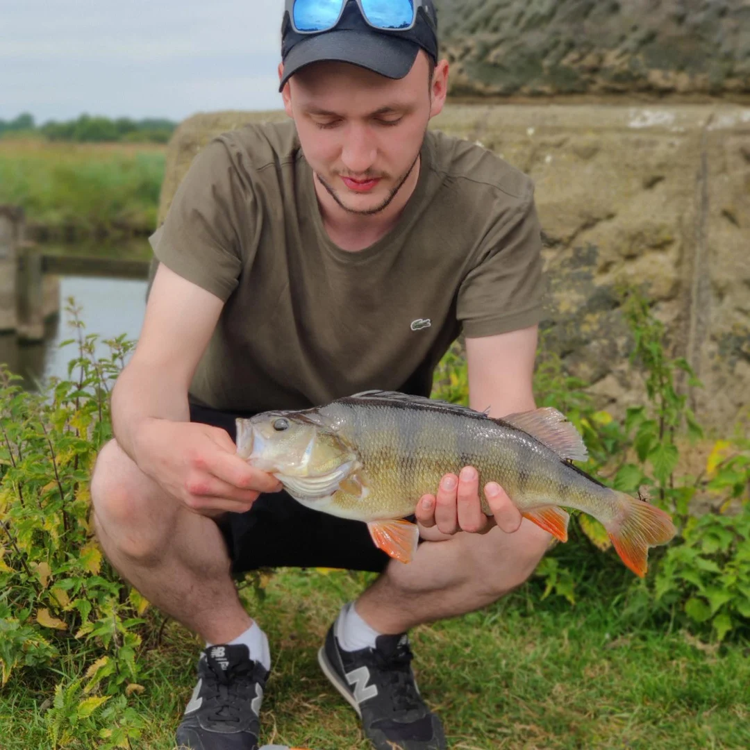 Cake Day Perch post | Scrolller