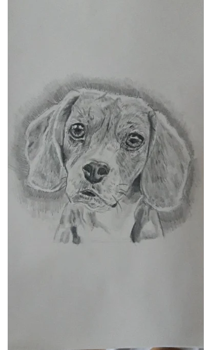 DOG, progamermove6648, pencil on paper, 2024 | Scrolller