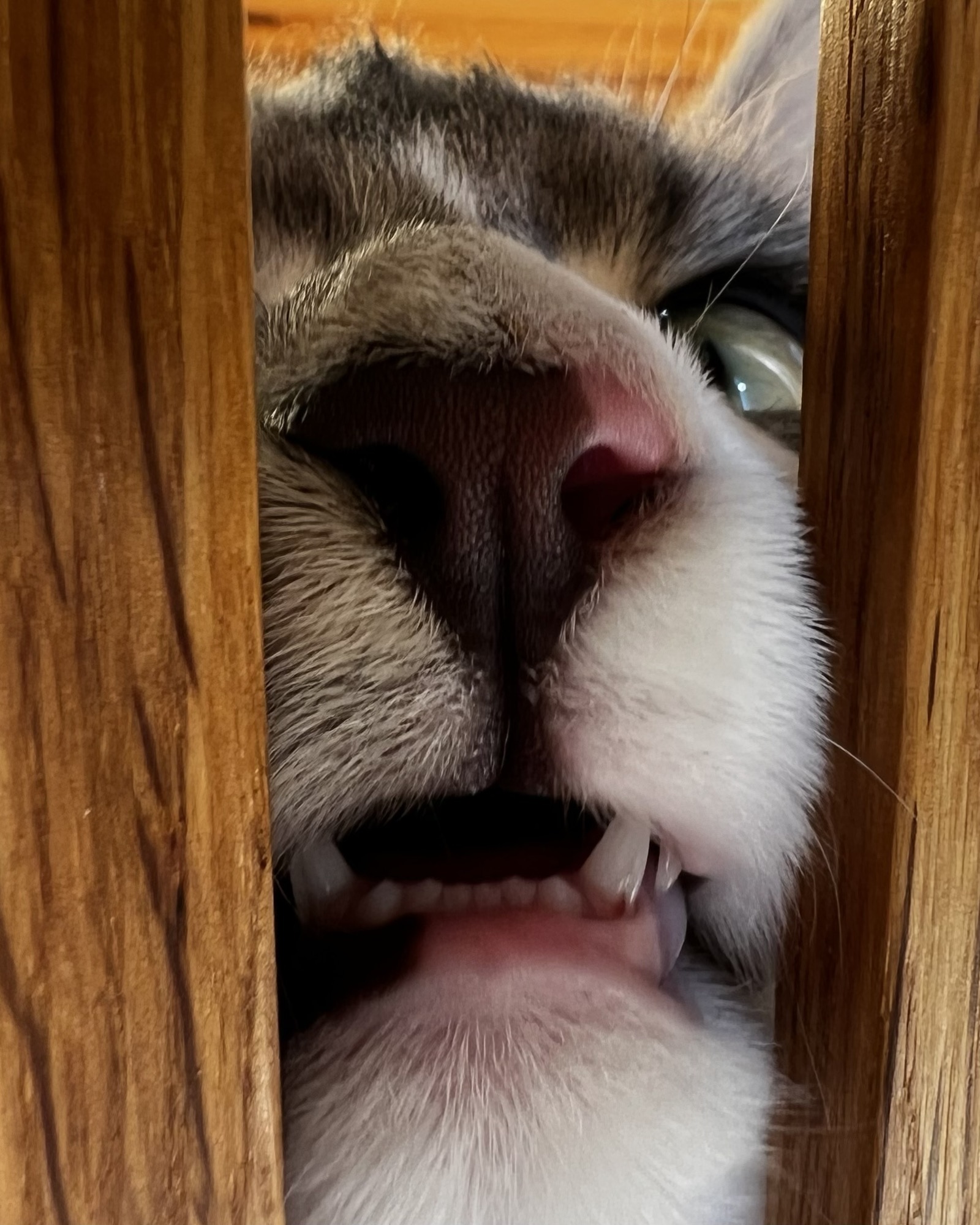 Heeeeeeere's Johnny! | Scrolller