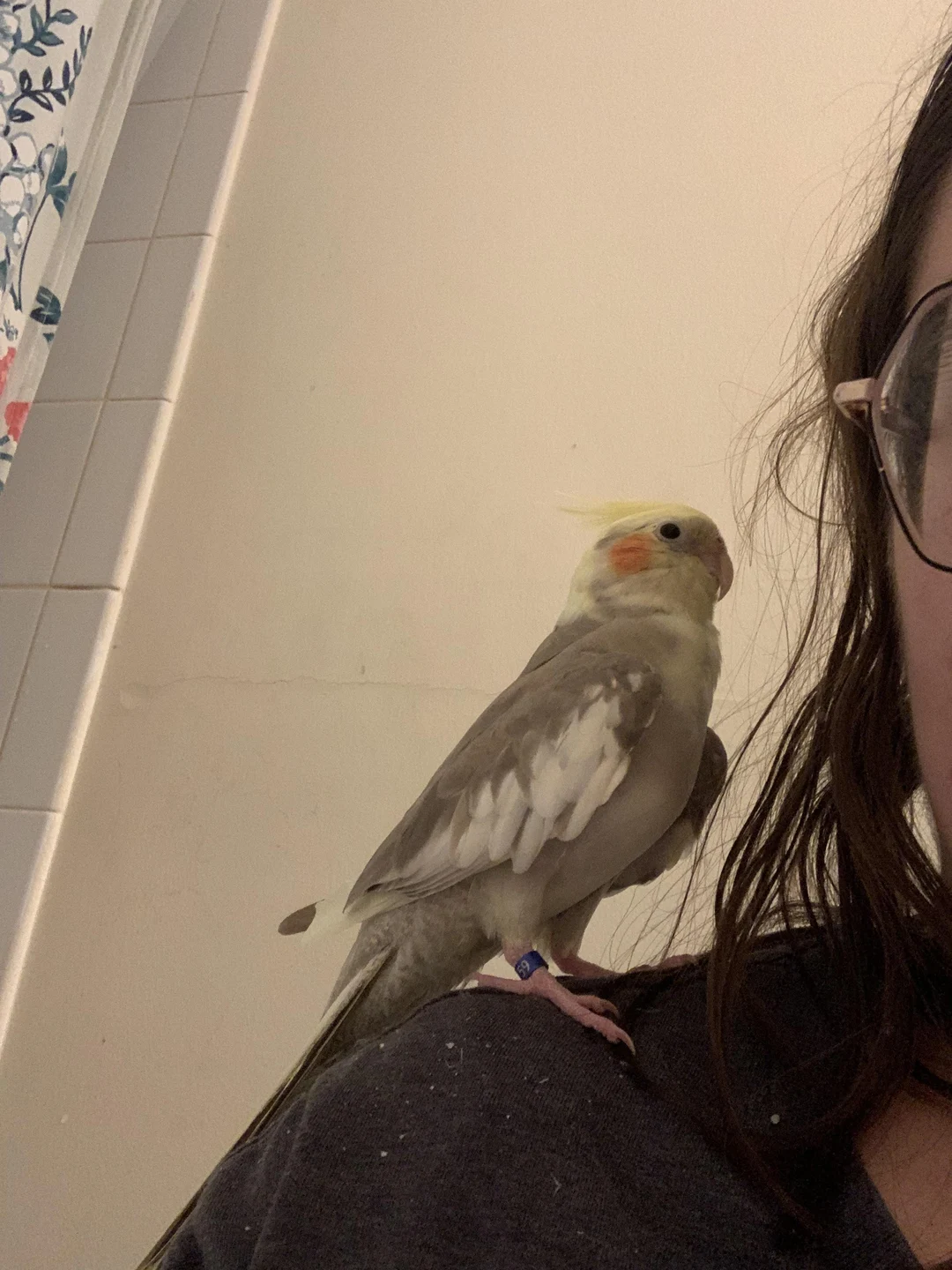 Heart shaped birb | Scrolller