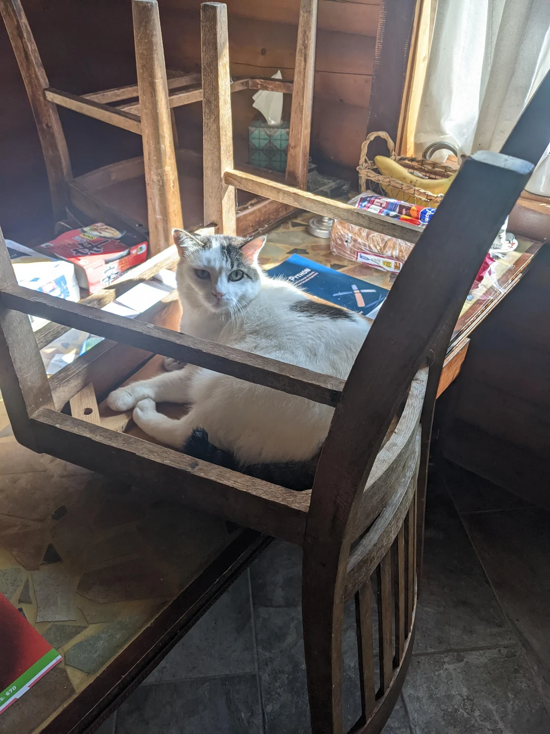 pretty strange trap but it worked | Scrolller