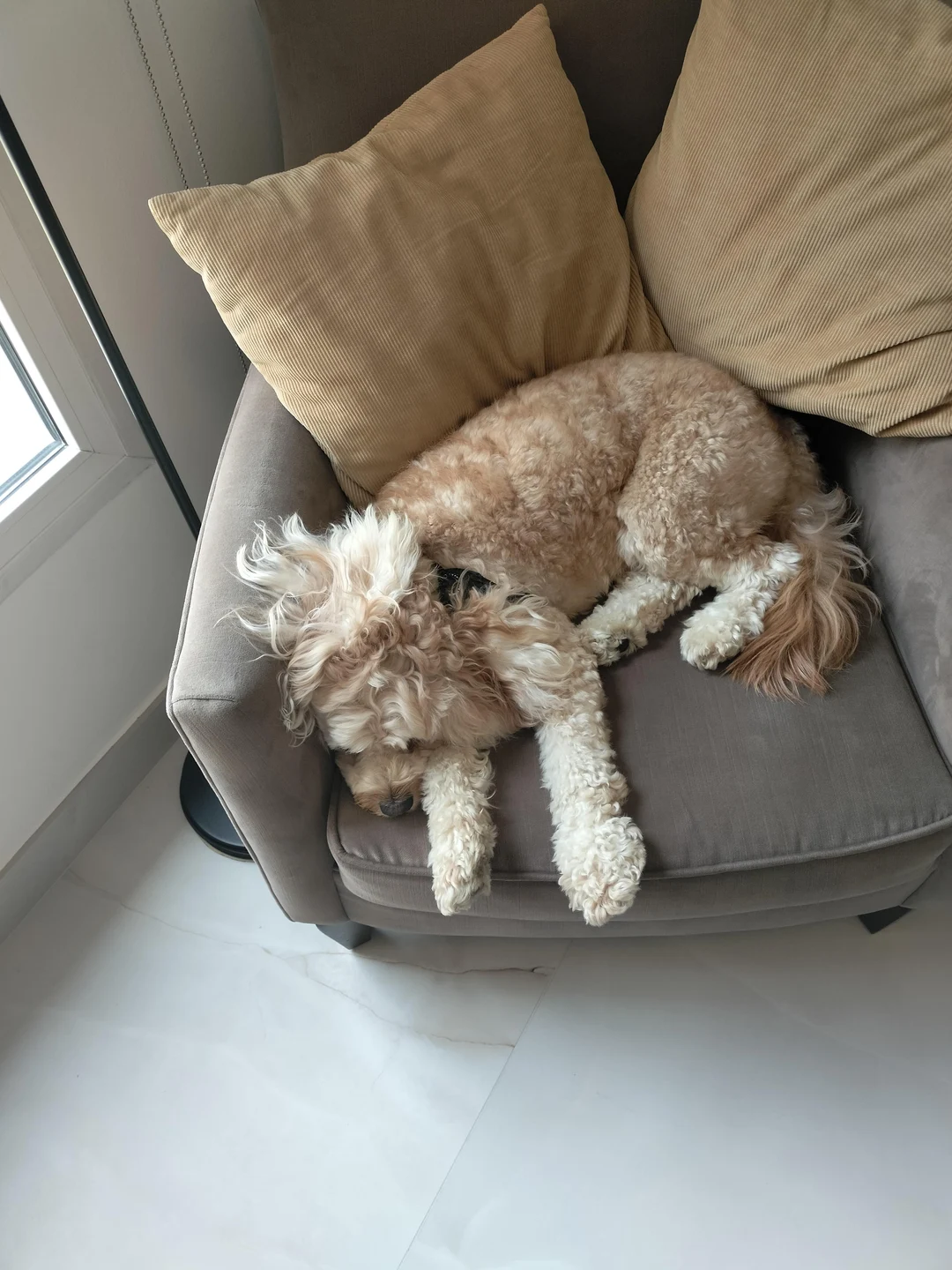 Unidentified creature | Scrolller