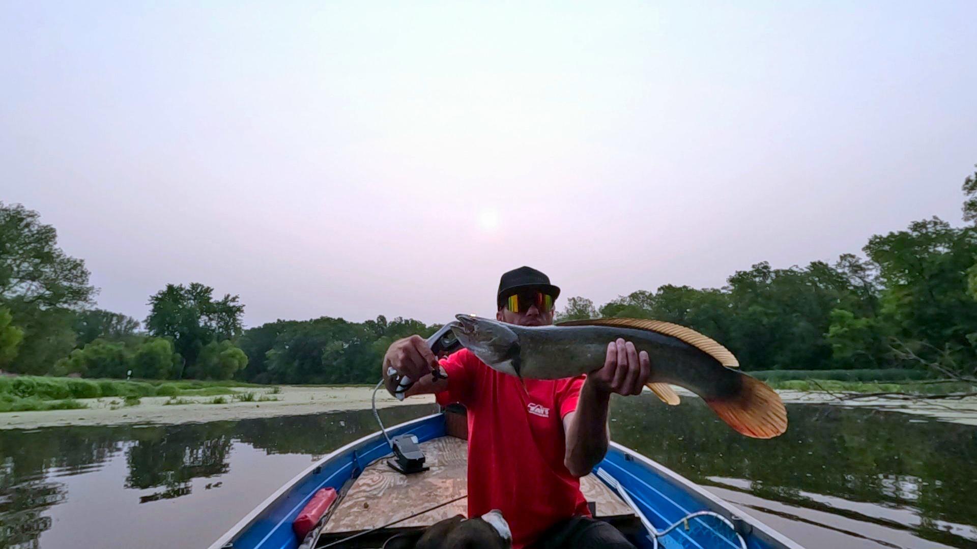 Massive Bowfin Caught in Michigan, Master Angler?? | Scrolller