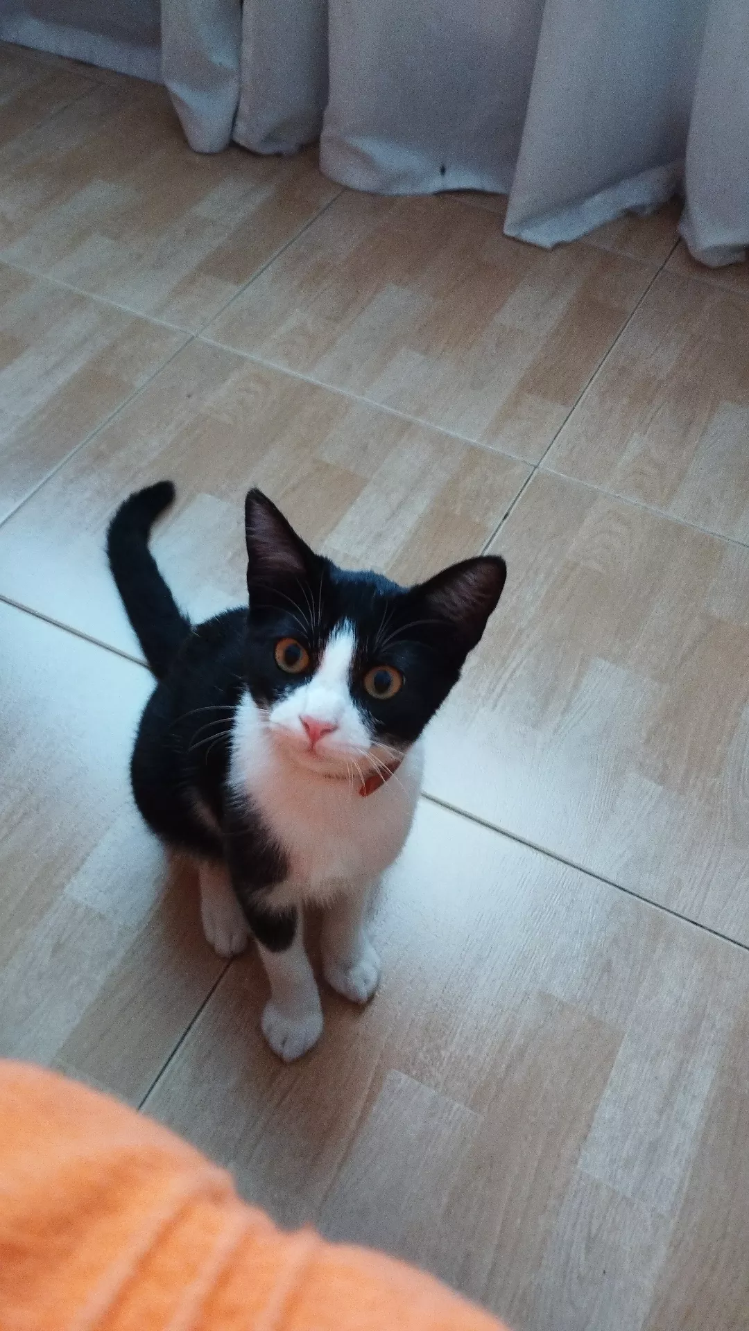 Belfast's growth! | Scrolller