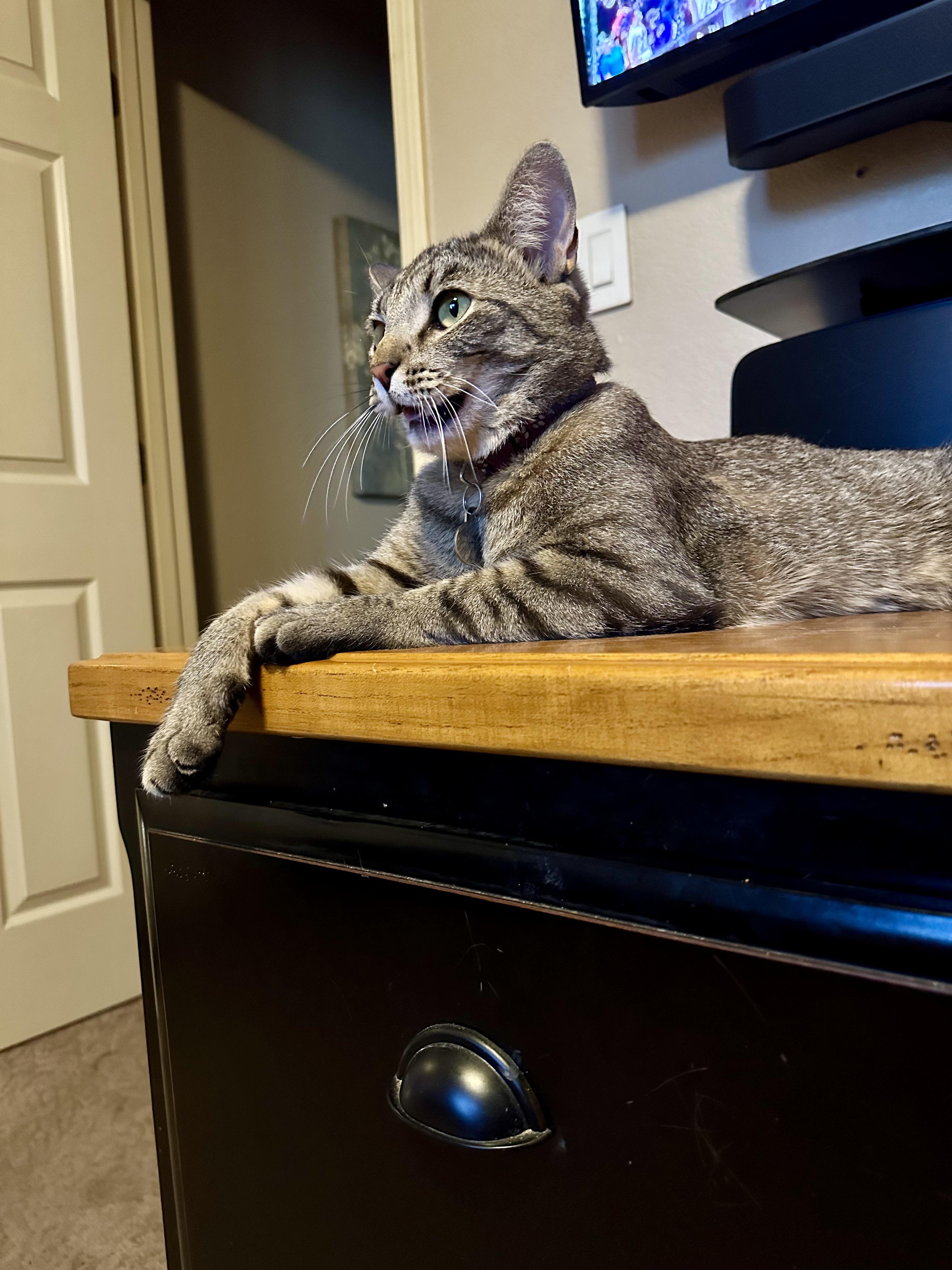 Panting Noodle, Hidden Dragon | Scrolller