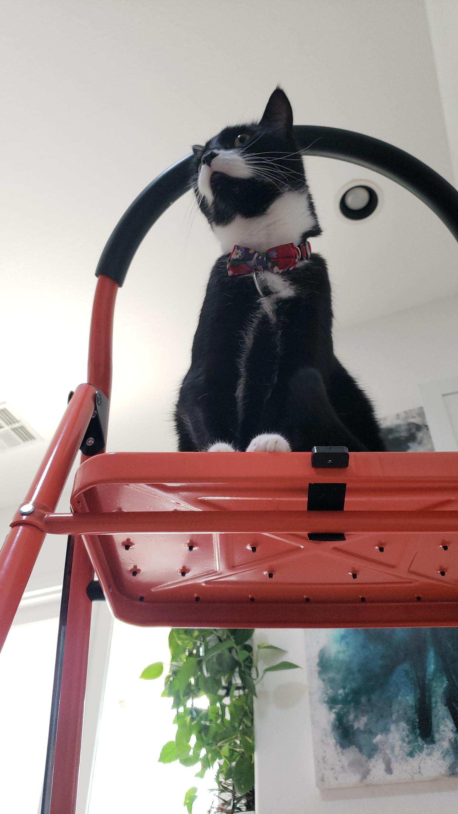 Must check out every angle | Scrolller