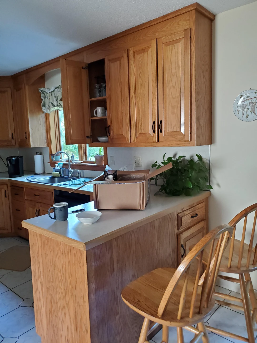 Successful Trap! | Scrolller