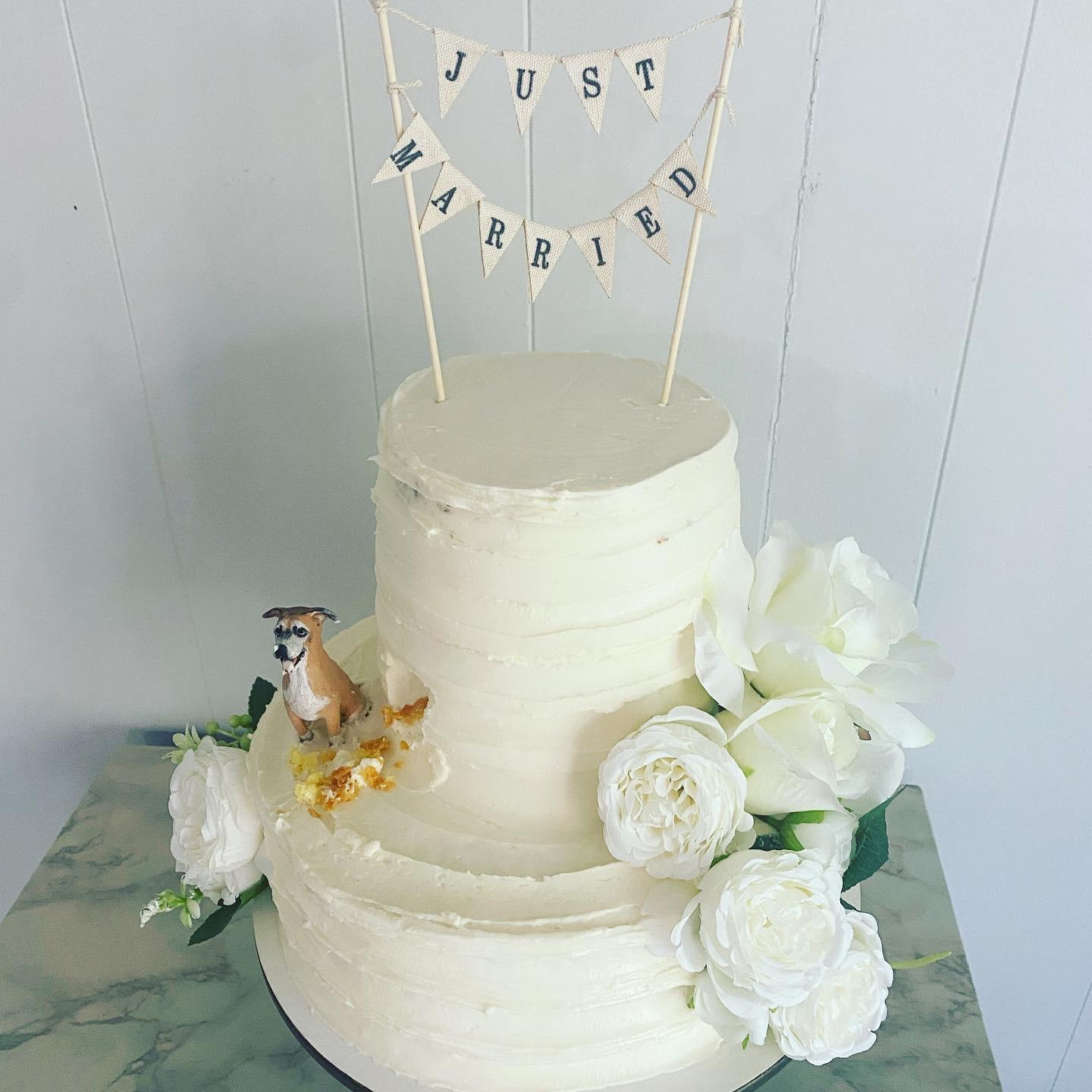 Discover more like Cake: Tips and Feedback Welcome and Related Content | Scrolller