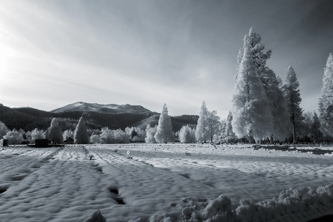 Lux Redux | Scrolller