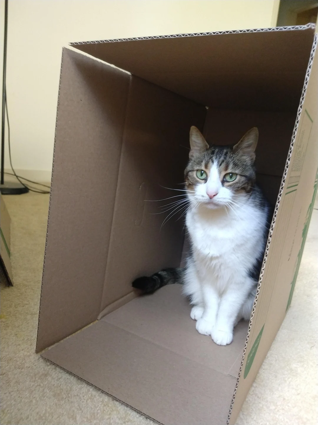 "I'm in my private space, can you please leave?" | Scrolller