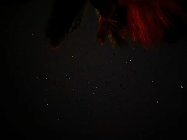 Tonight in Linderos, Chile | Scrolller