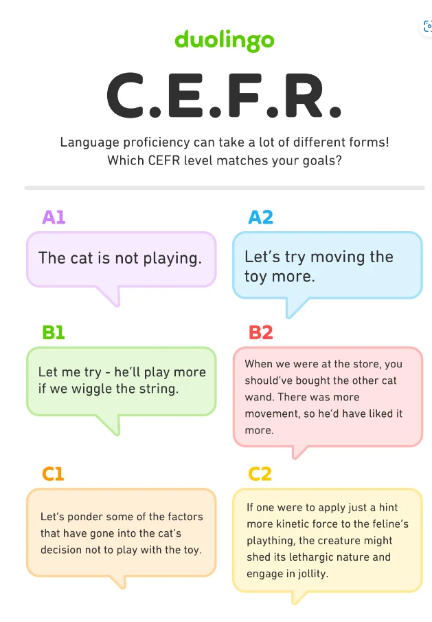 Duolingo Verbose | Scrolller