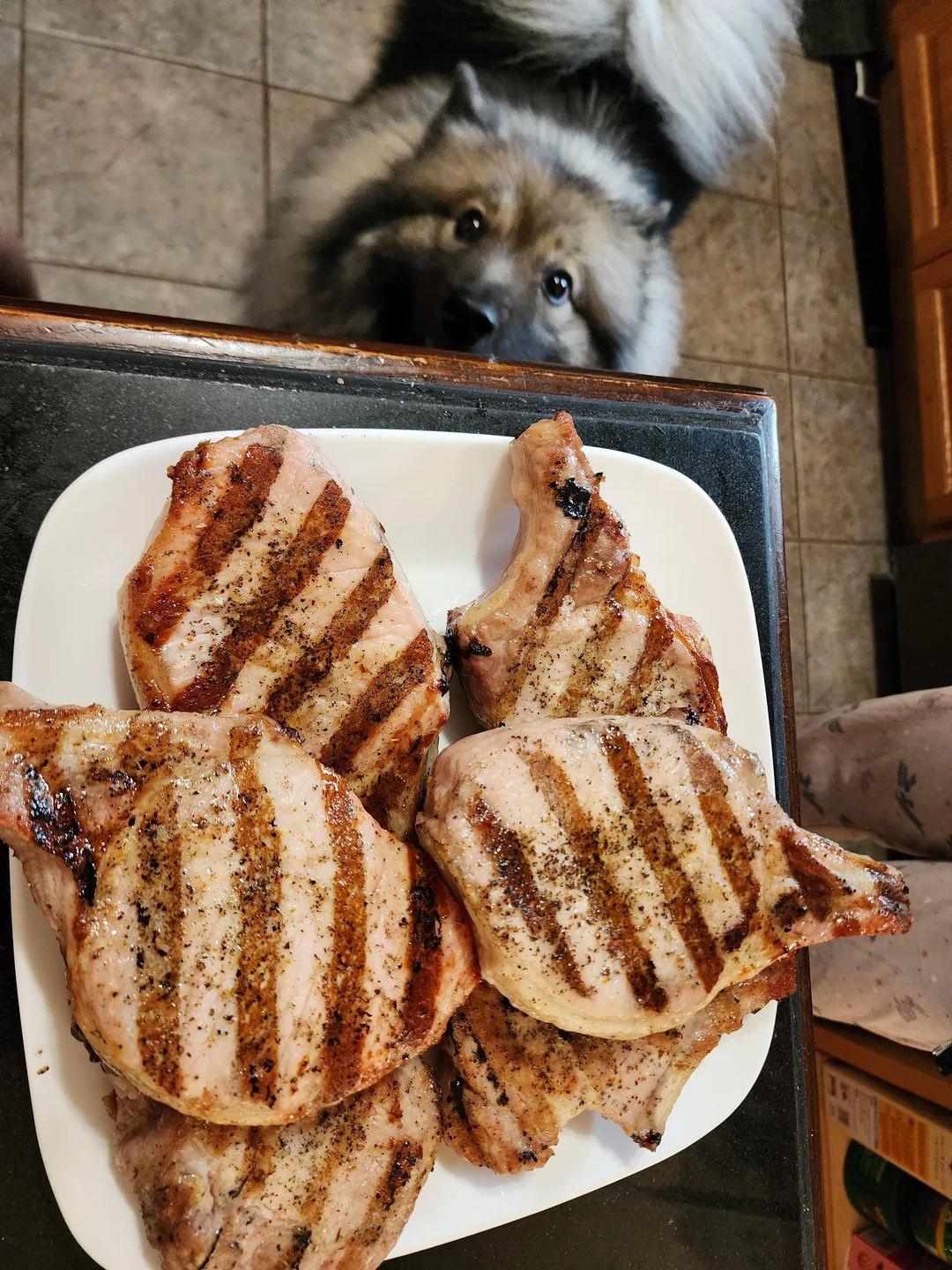 Grilling is always better with a buddy. Brined pork chops. | Scrolller