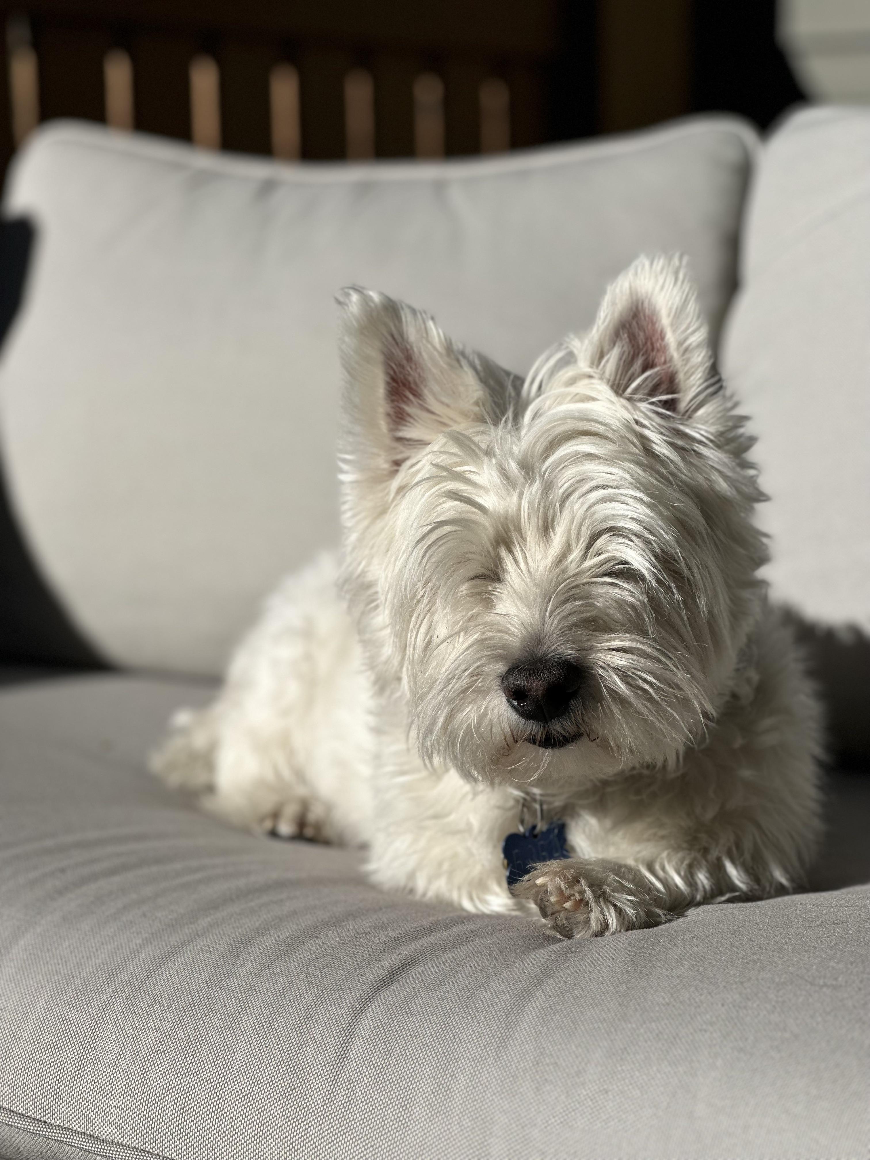 Catching some rays | Scrolller