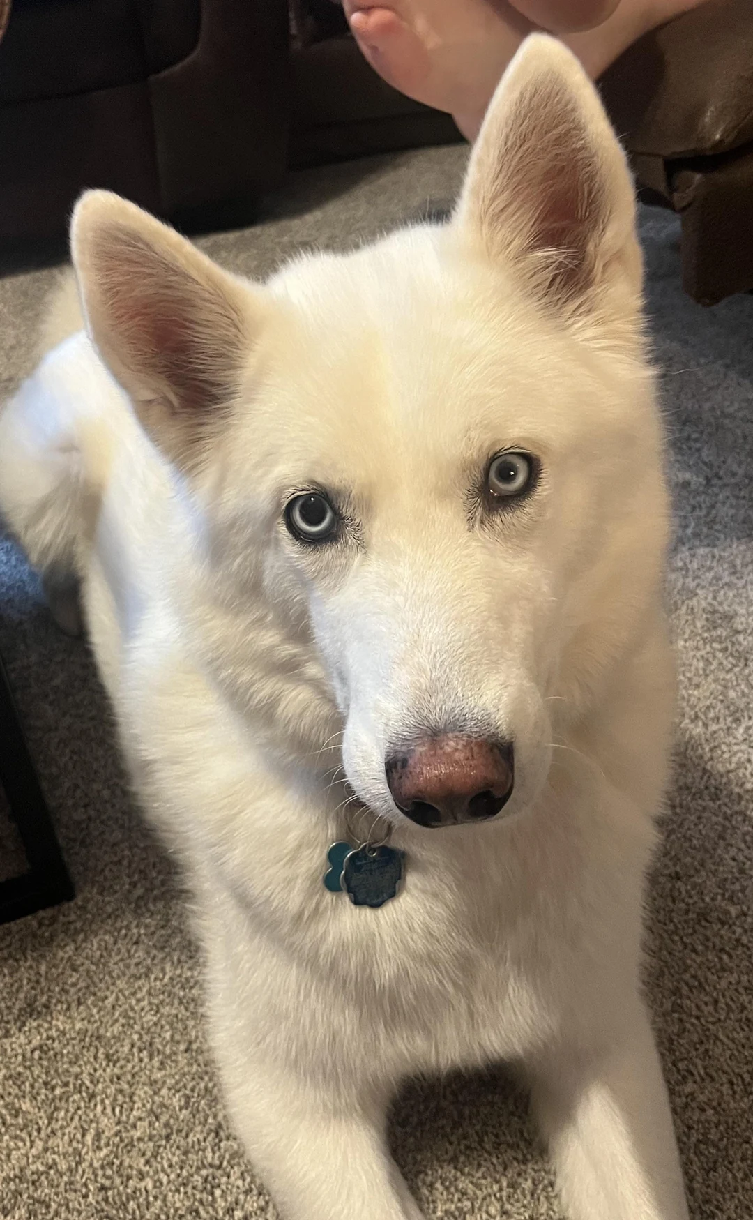 Rare condition | Scrolller