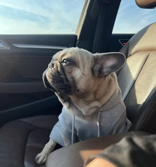 Such a passenger prince… | Scrolller