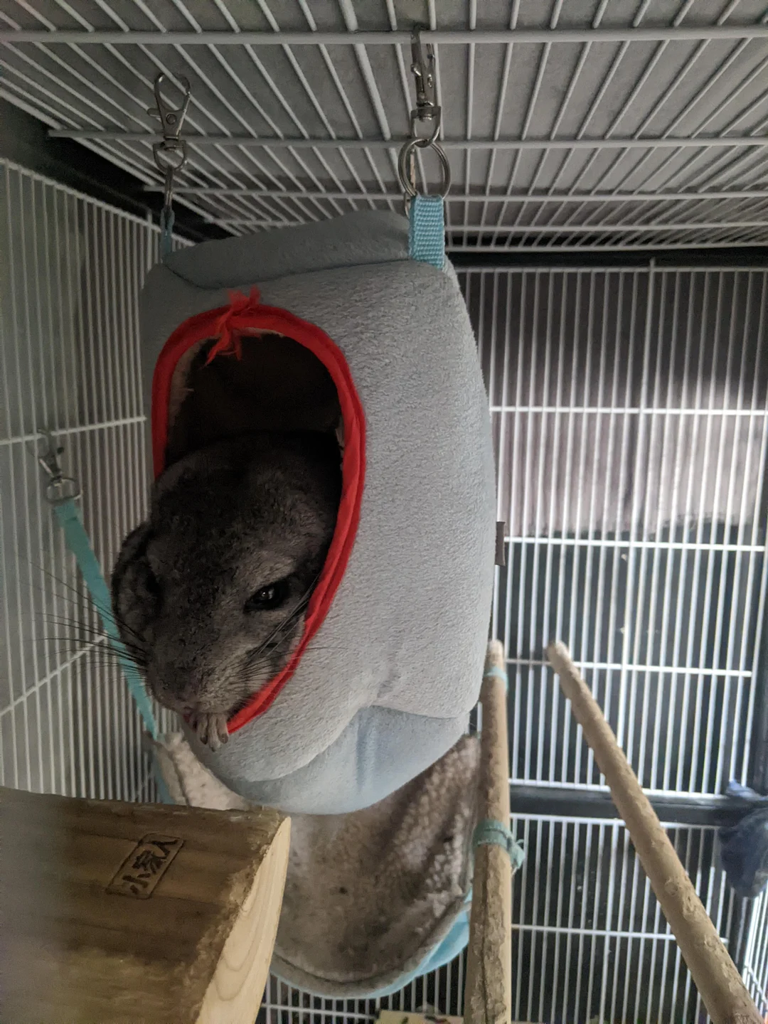 Theodore's favourite little hidey hole | Scrolller