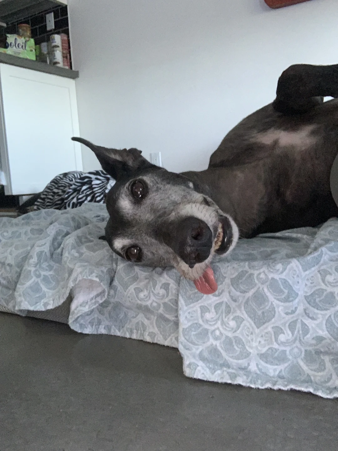 Happy TOT! 👅 | Scrolller