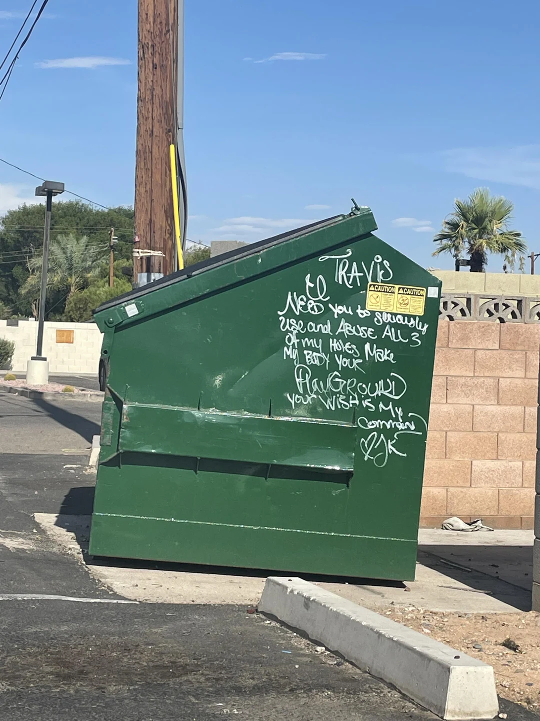 Trashy on a trash dumpster | Scrolller