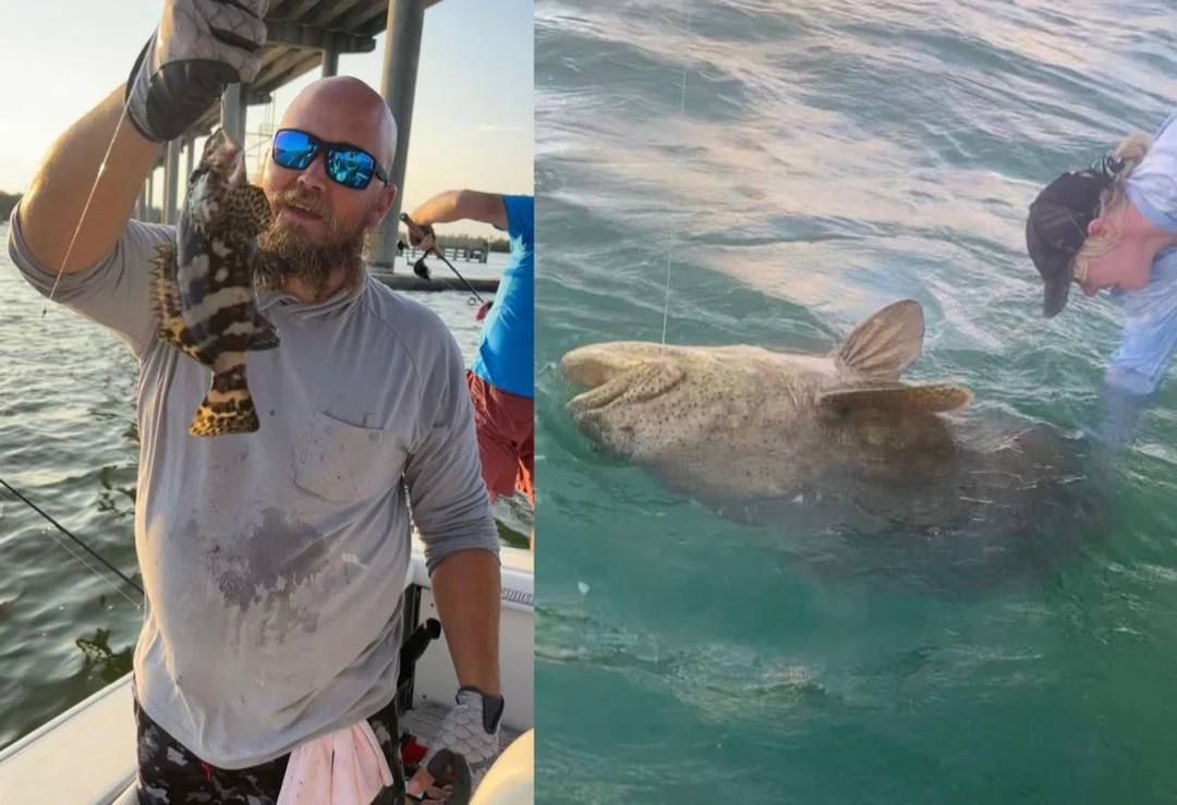 Same species same day. Who’s is bigger mine or hers? | Scrolller