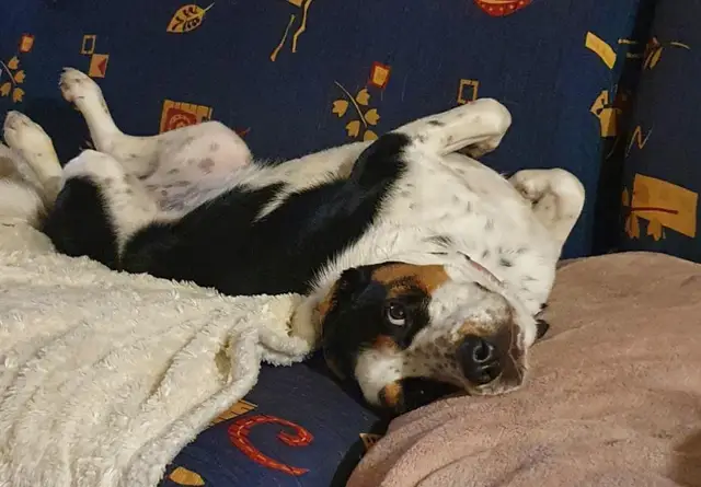 she stuck | Scrolller