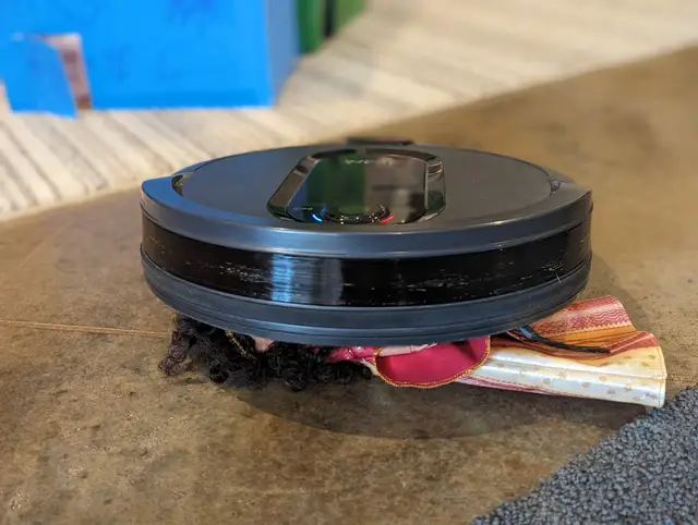 I detected a cliff I could fall off! So dramatic! | Scrolller