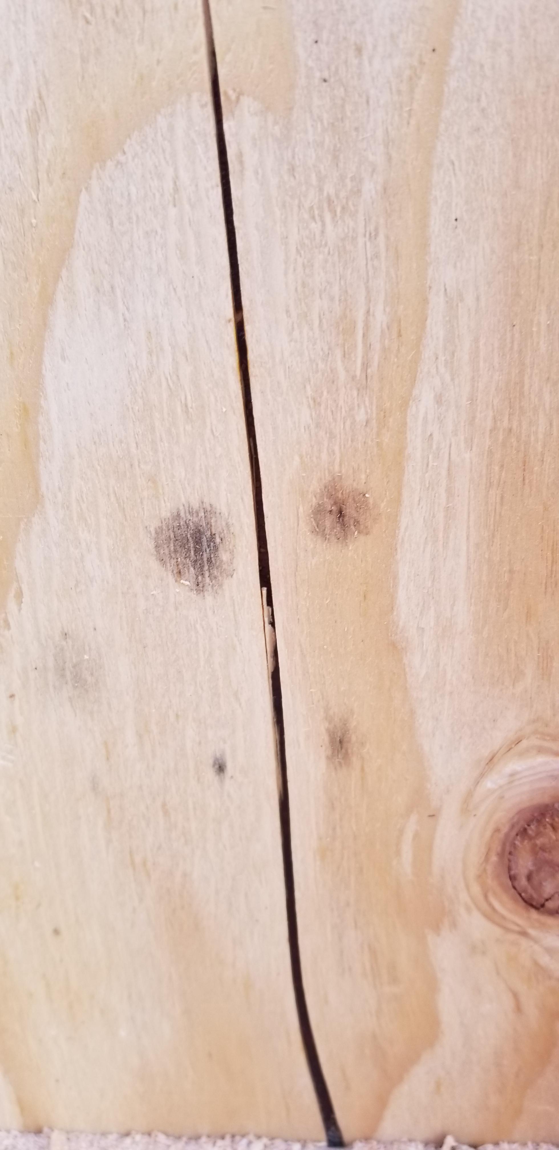 Does this look like the beginnings of black mold? | Scrolller