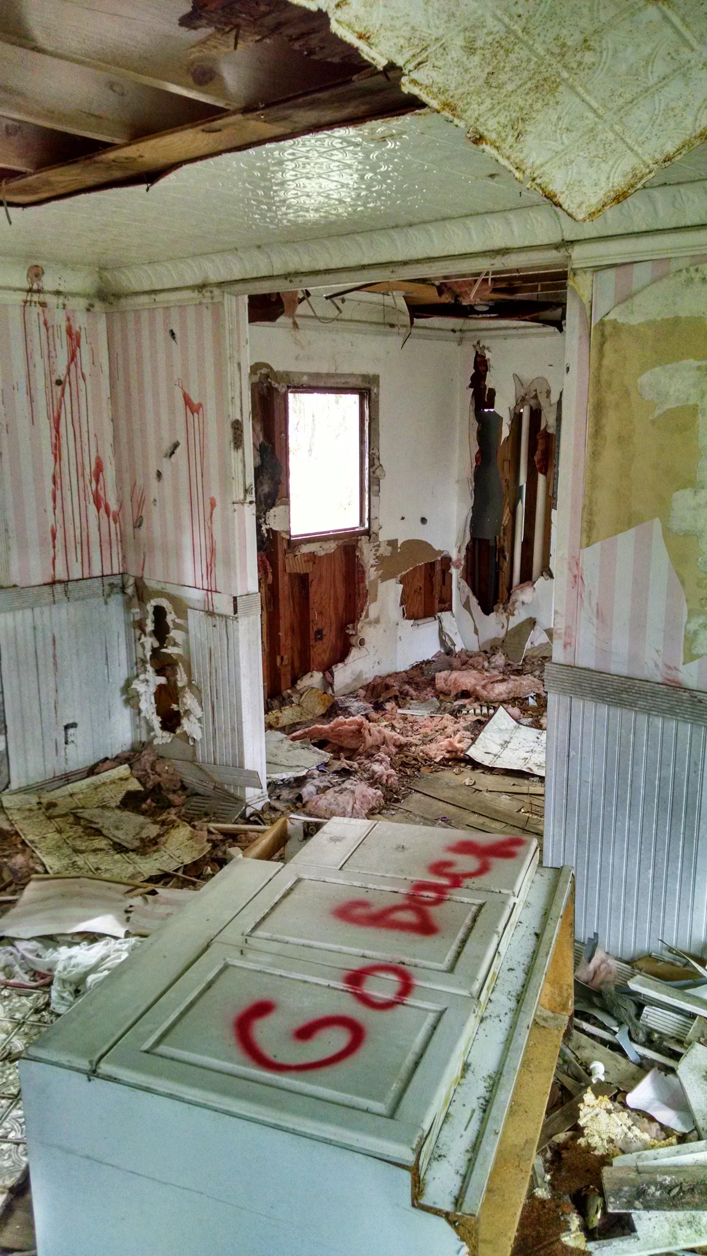 Inside the Treehouse | Scrolller