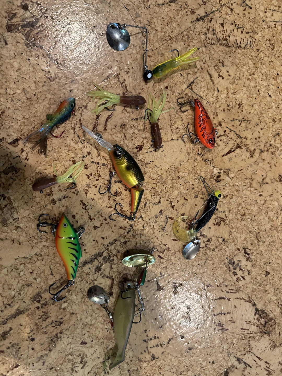 New to fishing, what baits/lures would be good for fishing off a boardwalk in some heavily ...