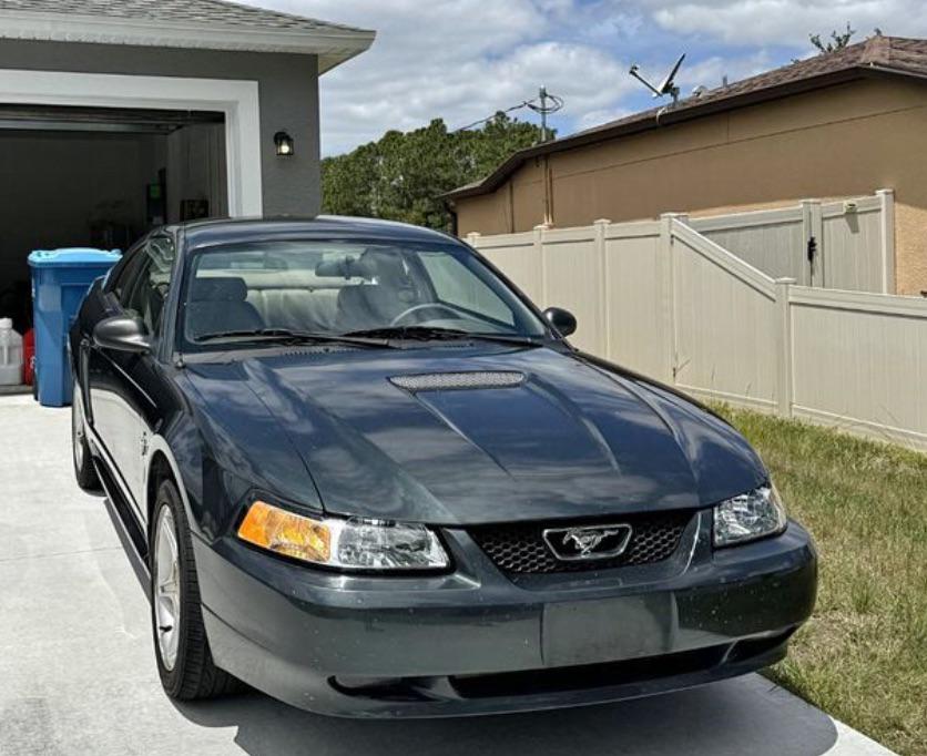 Rejoined the family, again | Scrolller