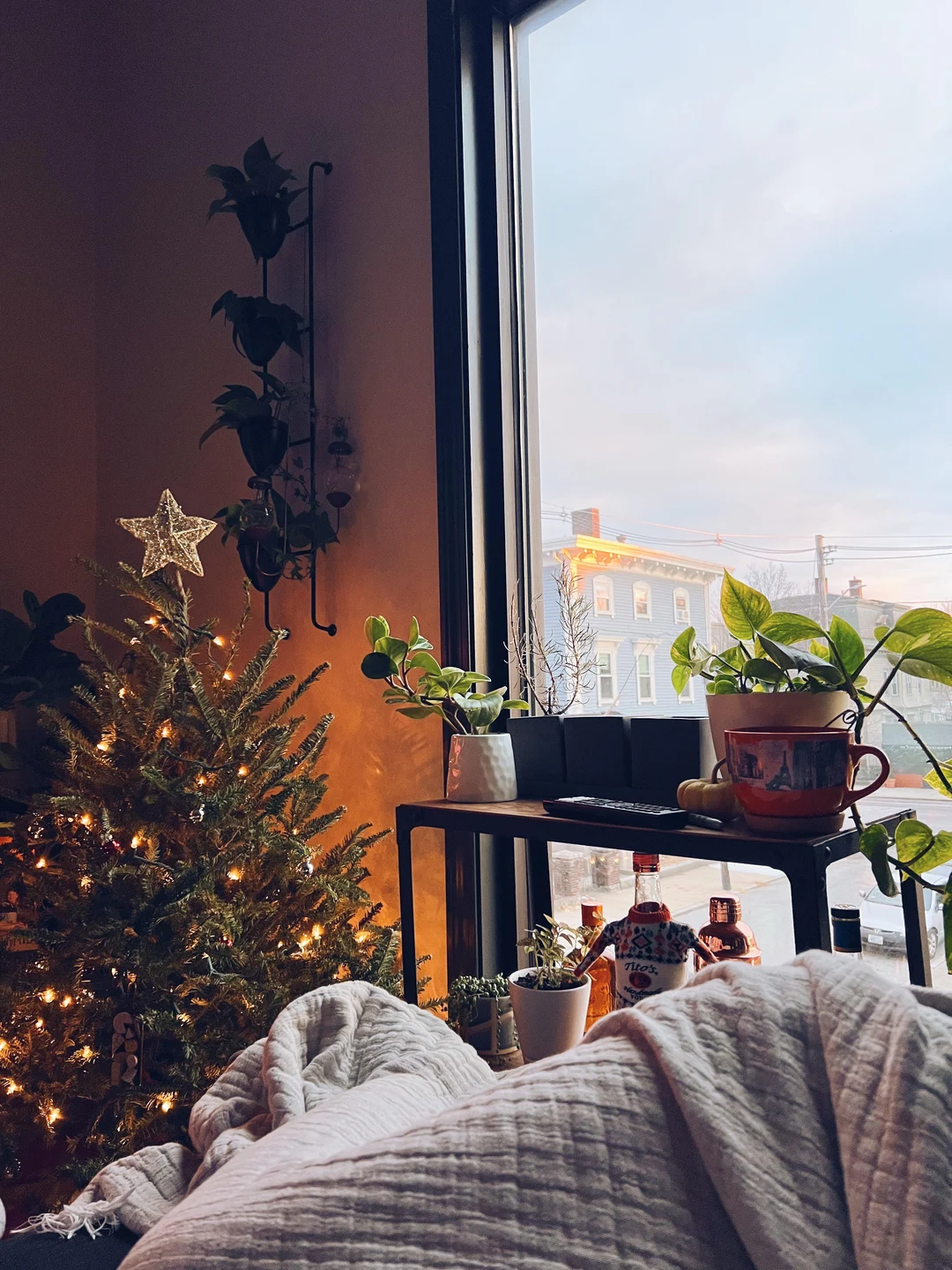 My cozy setup today🎄🥂 | Scrolller